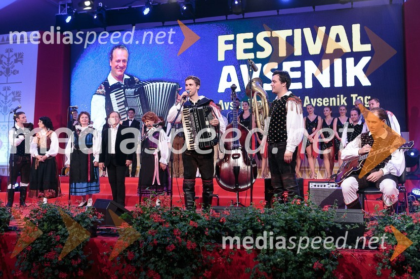 Mediaspeed - Festival Avsenik 2015, sobota