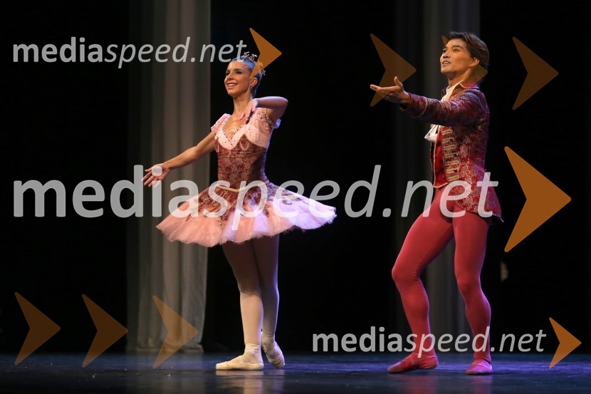Mediaspeed - Plesni polet Antona Bogova