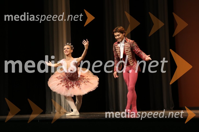 Mediaspeed - Plesni polet Antona Bogova