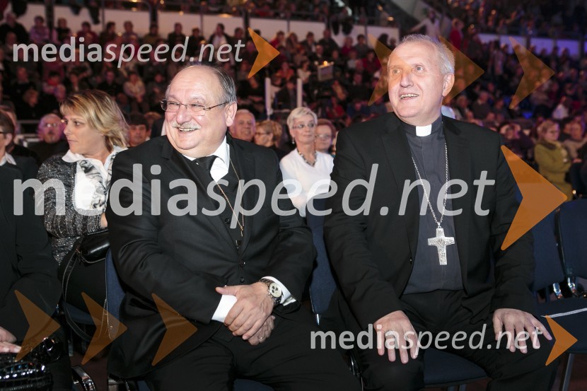 Mediaspeed - Klic dobrote, dobrodelni koncert