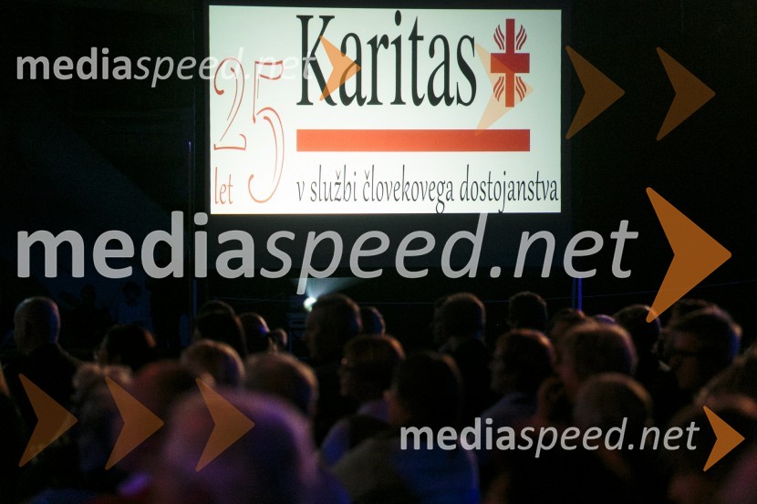 Mediaspeed - Klic dobrote, dobrodelni koncert