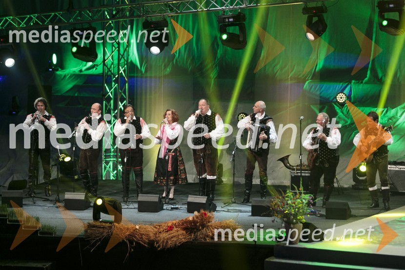 Mediaspeed - Klic dobrote, dobrodelni koncert