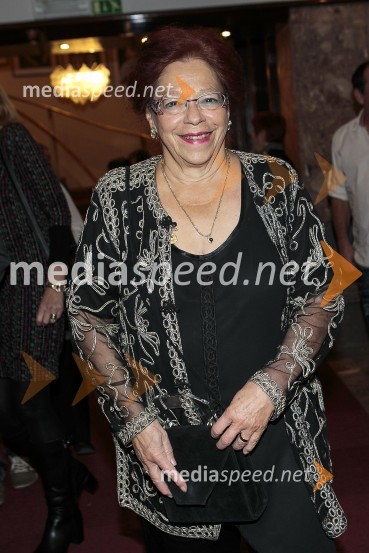 Mediaspeed - Lepa Vida, premiera predstave PGK