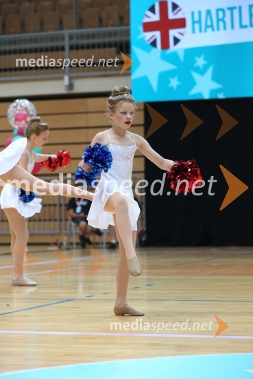 Mediaspeed - Hartlepool Hawks