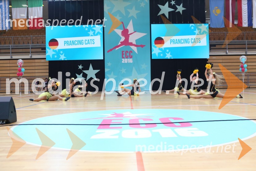 Mediaspeed - Prancing Cats