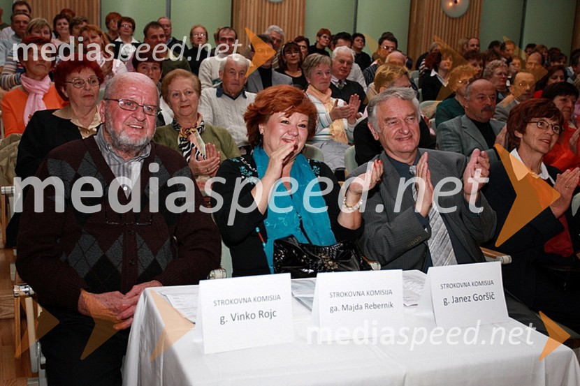 Mediaspeed - Najlepša viža 2007