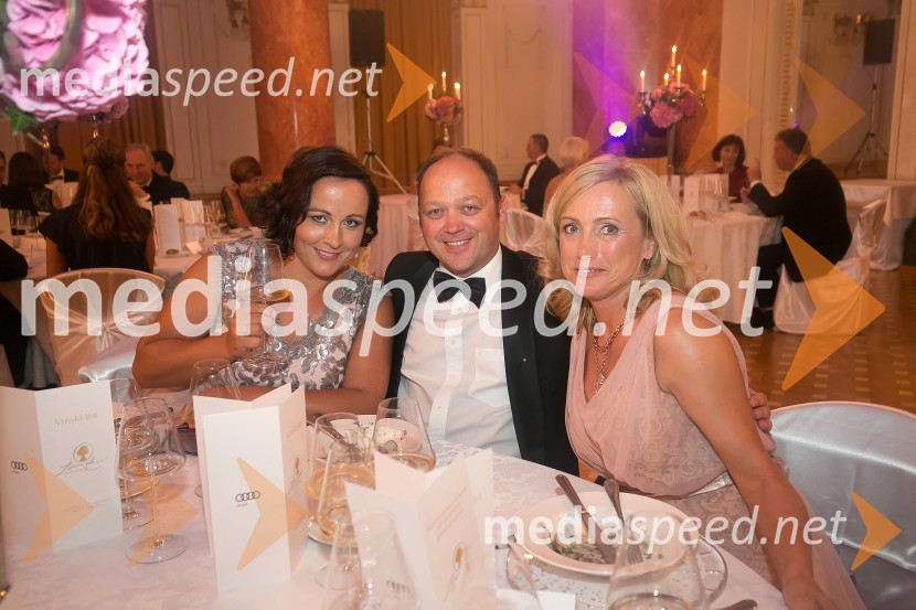 Mediaspeed - Anin ples 2016