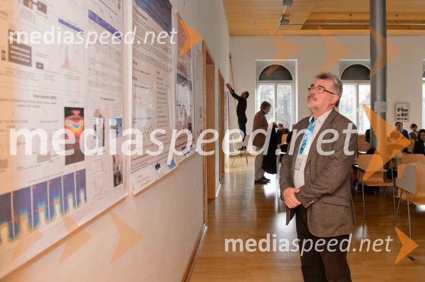 Mediaspeed - AARC PhD Students Conference on Environment and ...