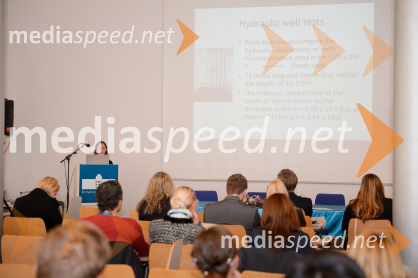 Mediaspeed - AARC PhD Students Conference on Environment and ...