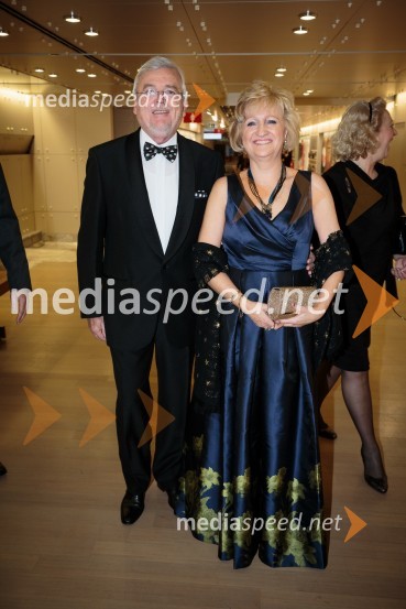 Mediaspeed - 20. Veliki dobrodelni Lions ples 2017