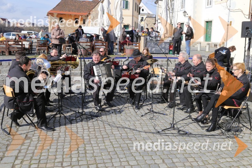 Mediaspeed - 38. Rez stare trte, najstarejše trte na svetu