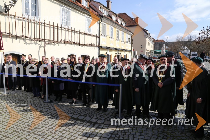 Mediaspeed - 38. Rez stare trte, najstarejše trte na svetu