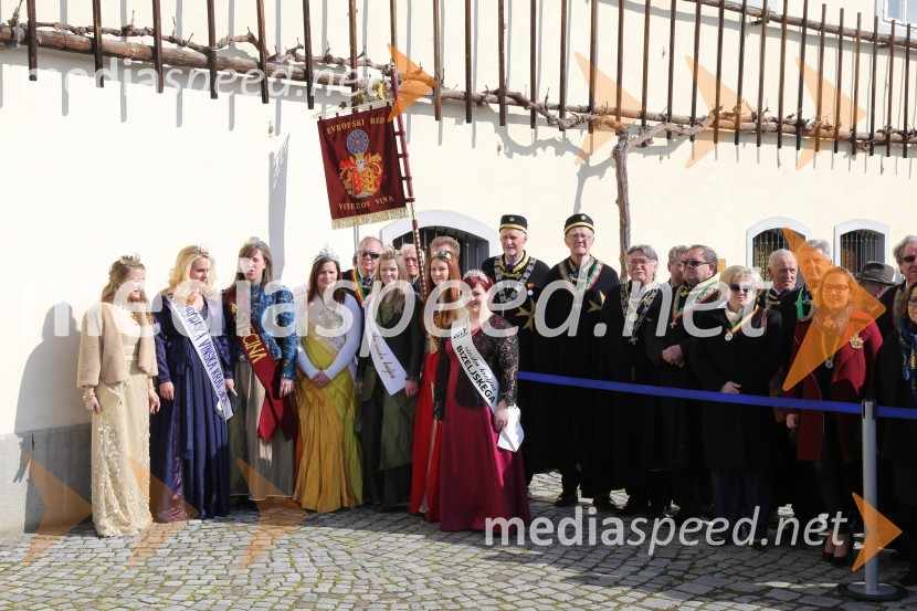 Mediaspeed - 38. Rez stare trte, najstarejše trte na svetu