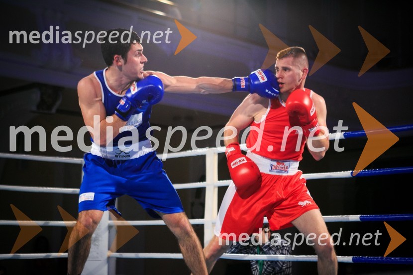 Mediaspeed - Dejan Zavec Boxing Gala