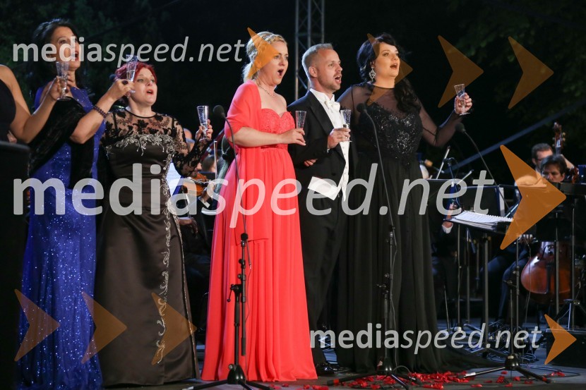 Mediaspeed - Operna noč v Mestnem parku