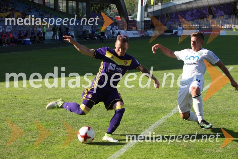 Mediaspeed - Vijol'čna sobota v Ljudskem vrtu