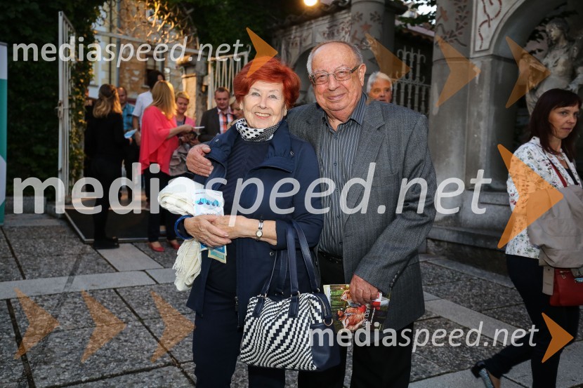 Mediaspeed - Vesna, premiera muzikla