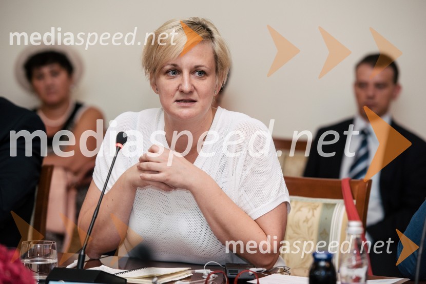 Mediaspeed - Kultura in turizem, mednarodni strokovni posvet