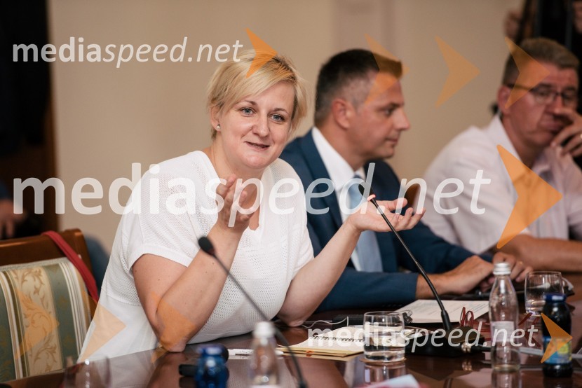 Mediaspeed - Kultura in turizem, mednarodni strokovni posvet