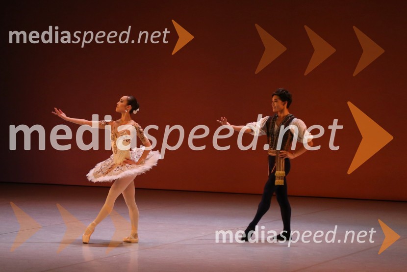 Mediaspeed - Gala baletni večer z Antonom Bogovom
