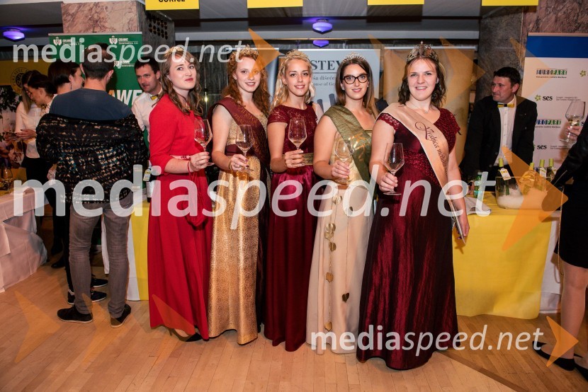 Mediaspeed - 2. Salon štajerskih mladih vin v Ljubljani, PUBEC 2017