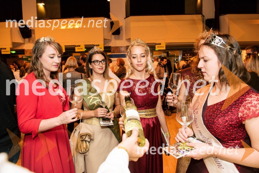 Mediaspeed - 2. Salon štajerskih mladih vin v Ljubljani, PUBEC 2017