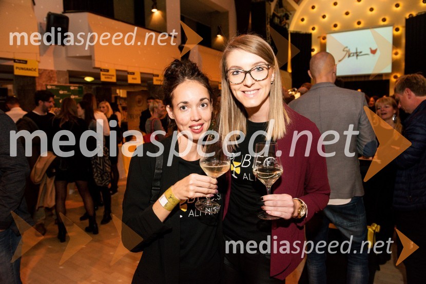 Mediaspeed - 2. Salon štajerskih mladih vin v Ljubljani, PUBEC 2017