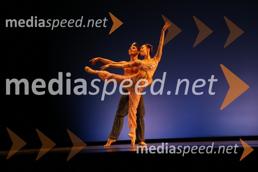 Mediaspeed - Svečani baletni koncert s podelitvijo nagrad Lydie Wisiakove