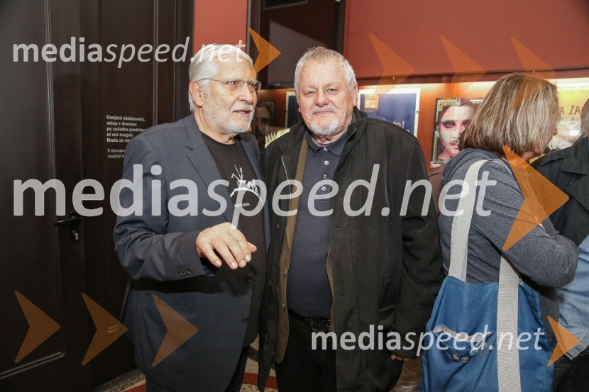 Mediaspeed - Boris Cavazza je prejel nagrado bert
