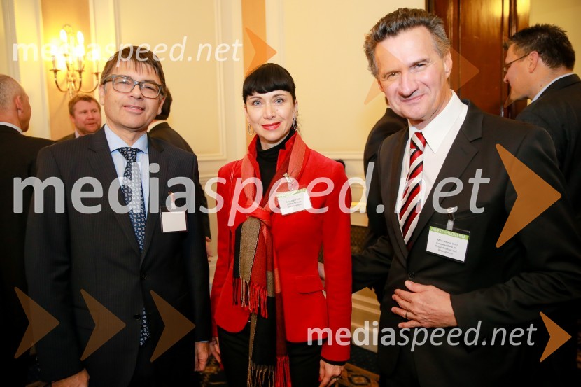 Mediaspeed - Invest in Slovenija, konferenca