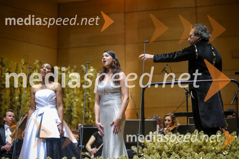 Mediaspeed - Managerski koncert 2017