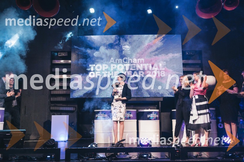 Mediaspeed - AmCham Top Potential of the Year 2018