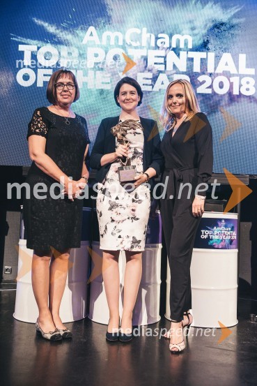Mediaspeed - AmCham Top Potential of the Year 2018