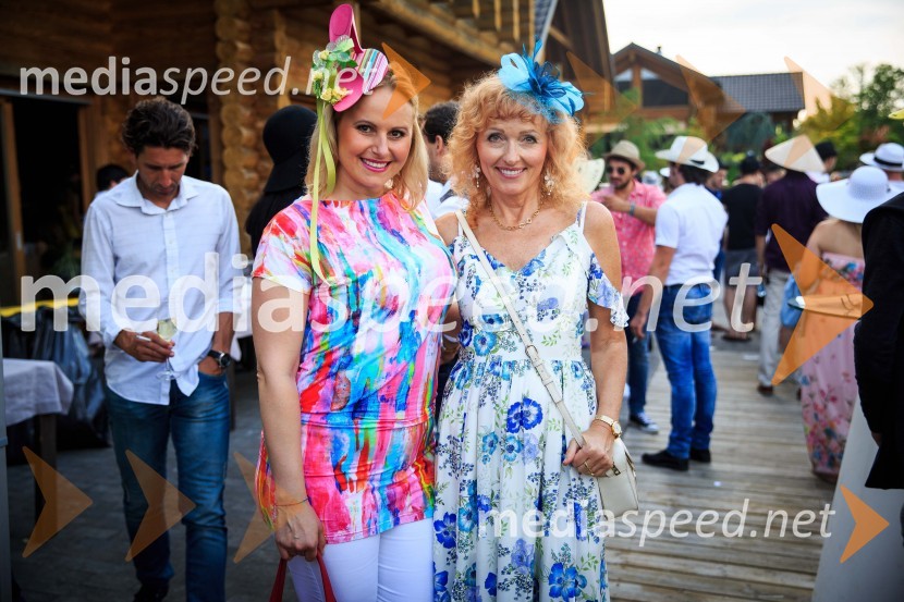 Mediaspeed - Zvezde pod klobuki 2018