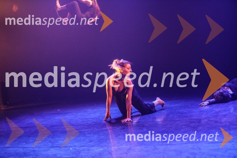 Mediaspeed - Letna produkcija Akademije za ples