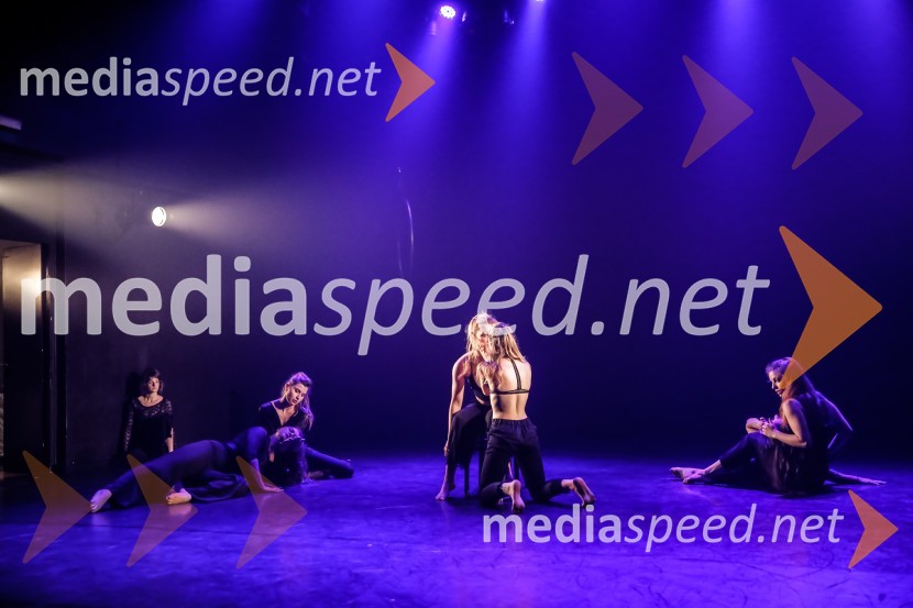 Mediaspeed - Letna produkcija Akademije za ples