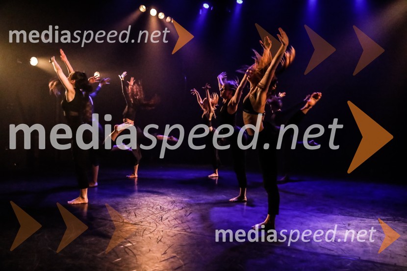 Mediaspeed - Letna produkcija Akademije za ples