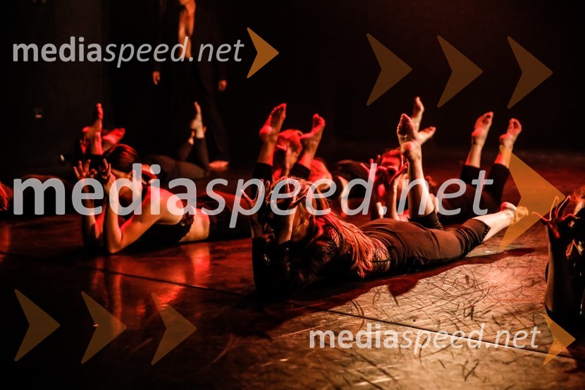 Mediaspeed - Letna produkcija Akademije za ples