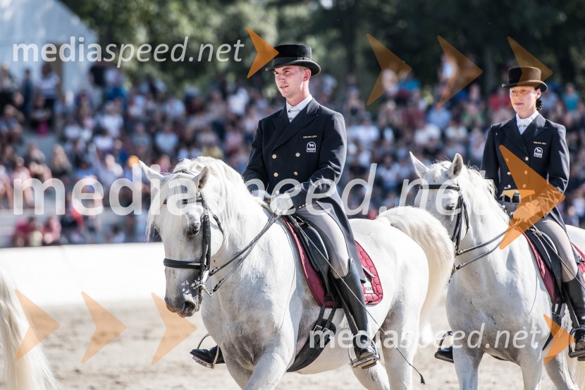Mediaspeed - Najlepši beli lipicanci in posebni gost konjeniško ...