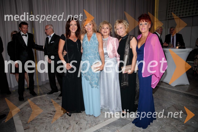 Mediaspeed - Veliki dobrodelni Lions ples 2018