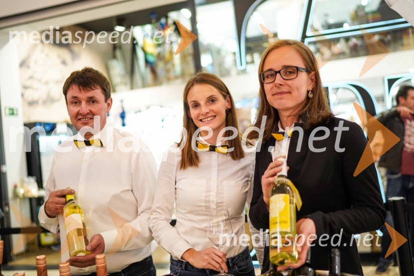 Mediaspeed - PUBEC v Citycentru Celje 2018