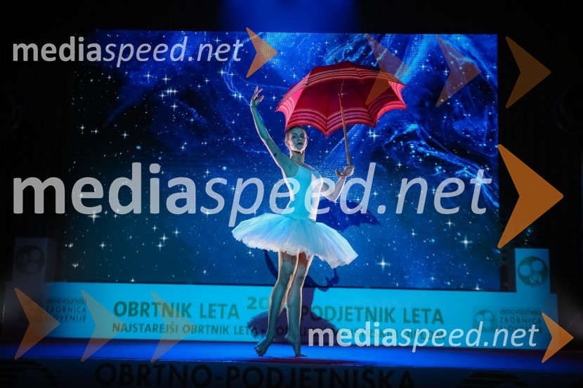 Mediaspeed - Mojca Trnovec in Peter Pišek sta obrtnica in podjetnik leta 2018