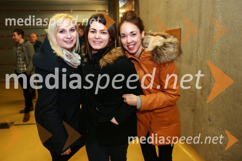 Mediaspeed - 17. rojstni dan agencije Mediaspeed in novoletno druženje
