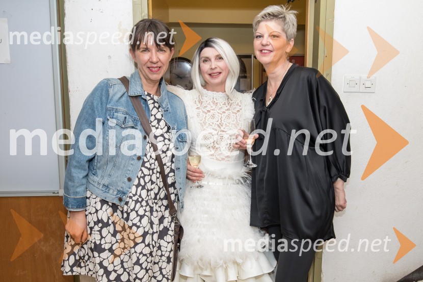 Mediaspeed - Zabava za Borisa, premiera predstave