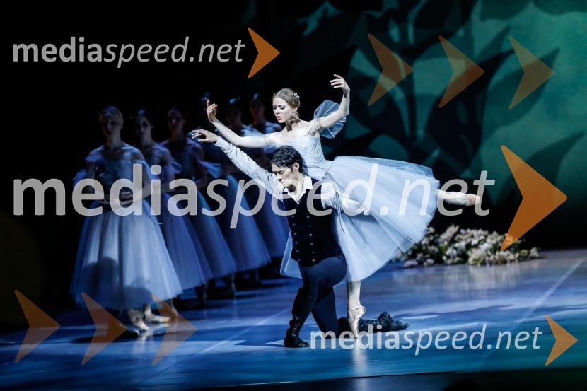 Mediaspeed - Giselle, premiera baleta
