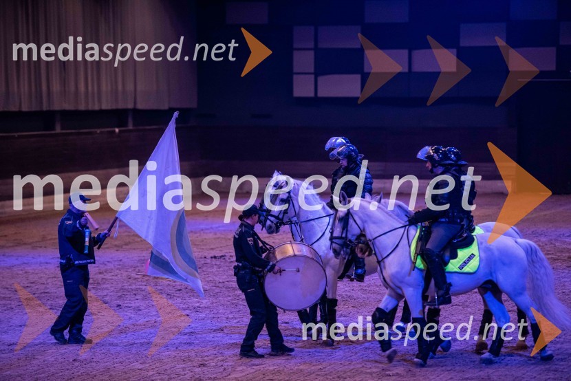 Mediaspeed - Čudoviti beli lipicanci so s svojo lepoto in energijo ...