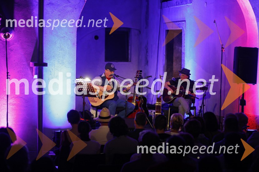 Mediaspeed - Tomaž Domicelj, koncert Festival Ljubljana