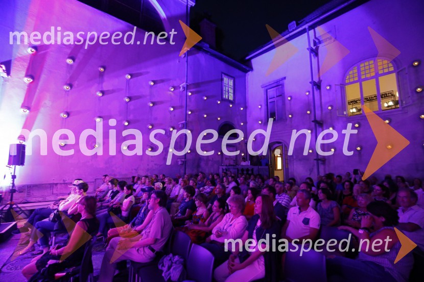 Mediaspeed - Tomaž Domicelj, koncert Festival Ljubljana