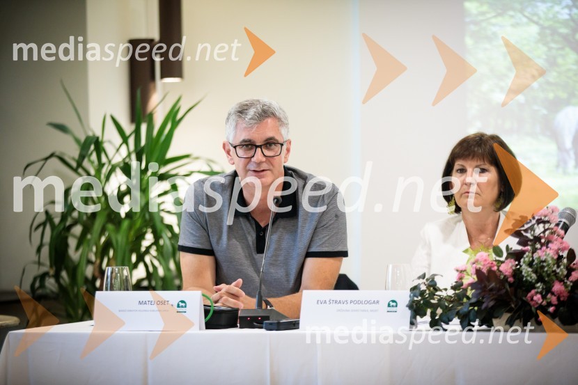 Mediaspeed - Vodenje Holdinga Kobilarna Lipica bo 3. septembra prevzel ...