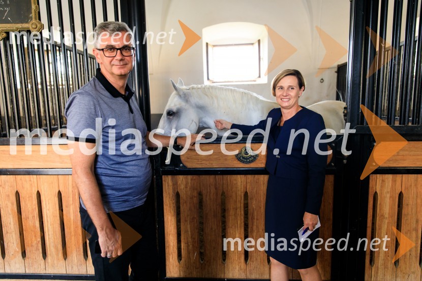 Mediaspeed - Vodenje Holdinga Kobilarna Lipica bo 3. septembra prevzel ...